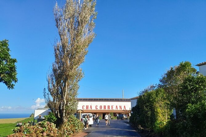 Ponta Delgada: Seven Cities & Furnas Volcano Shore Excursion Tour - Customer Feedback