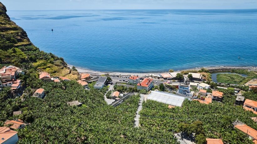 Ponta Do Sol : Madeira Banana Museum guided tour - Key Points