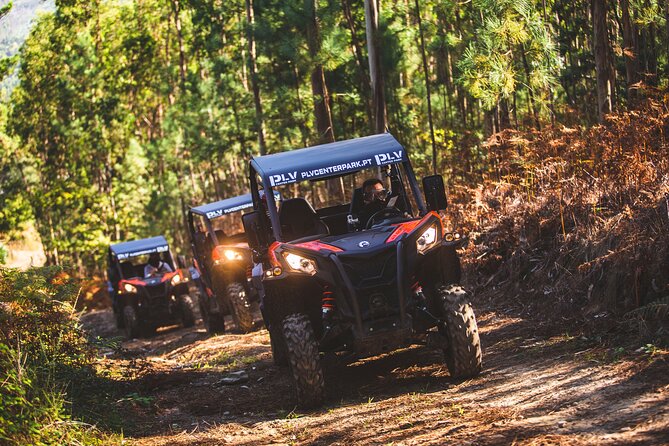 Ponte De Lima Guided Buggy Tour - Accessibility and Requirements