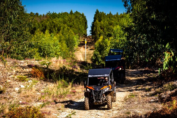 Ponte De Lima Guided Buggy Tour - Capturing the Stunning Landscapes