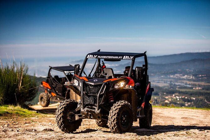 Ponte De Lima Guided Buggy Tour - The Sum Up