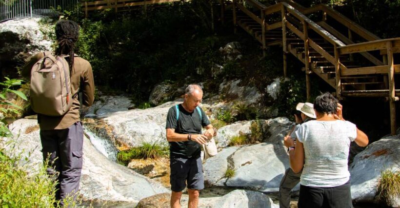 Ponte de Lima: treasures from the oldest village of PT - An Authentic Look at the Natural Wonders of Ponte de Lima