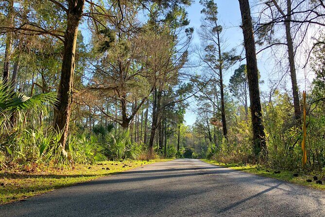 Pontoon Boat Rental Crystal River - Frequently Asked Questions