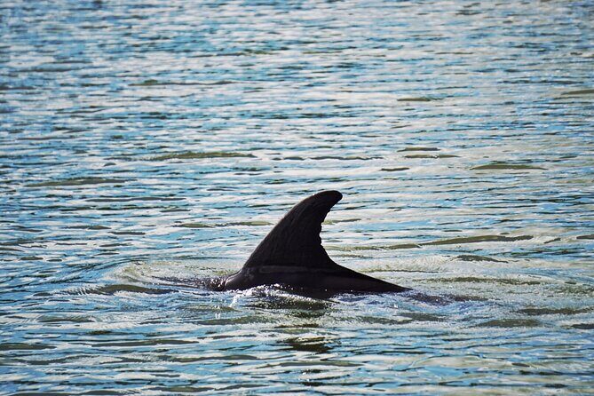 Pontoon Boat Rental in Hilton Head Island - The Sum Up: Who Should Consider This