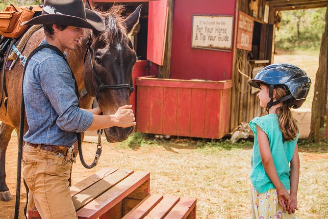 Pony Rides For Kids - What to Expect from the Pony Ride Experience