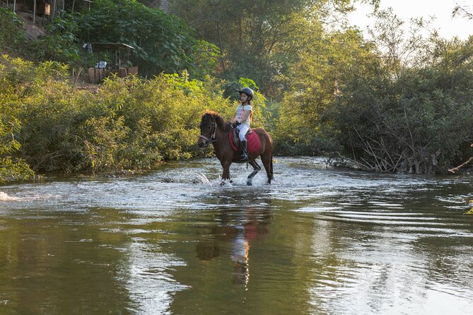 Pony Riding in Luang Prabang - The Experience’s Strengths and Considerations