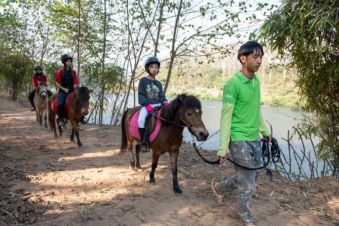 Pony Riding in Luang Prabang - FAQs