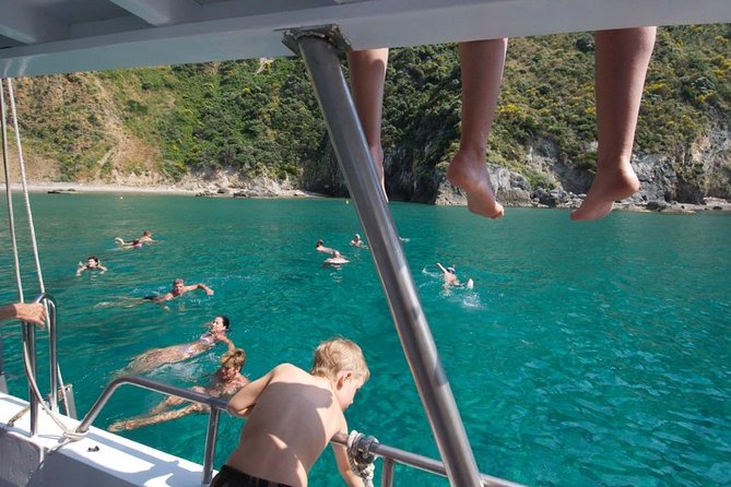 Ponza Island Boat Excursion Review - Educational Insights From Tour Guides