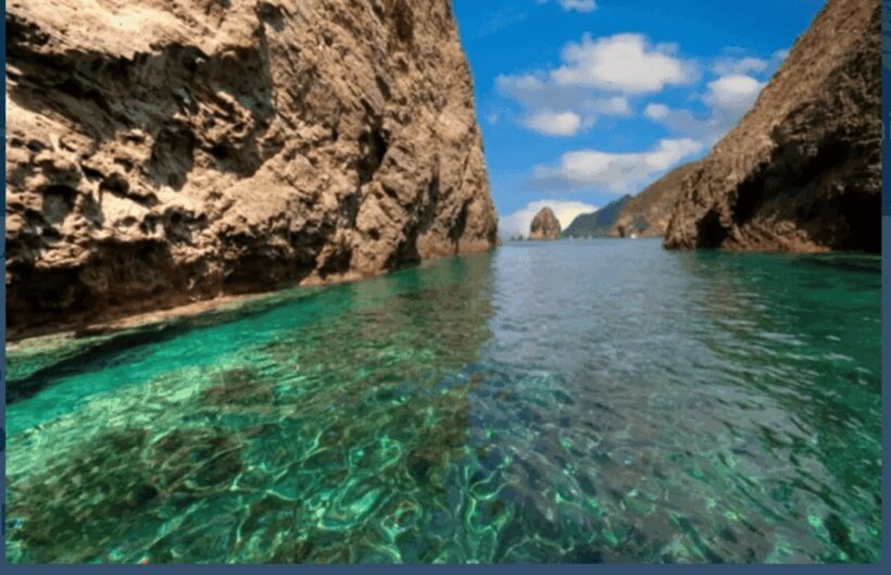 Ponza/Palmarola boat tour with lunch on board - Food and Drinks: A Relaxed Gourmet Experience