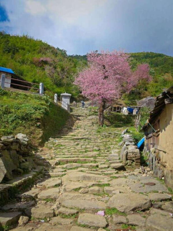 Poon-Hill and Ghandruk Trek- 7 Days - Who Will Love This Trek?
