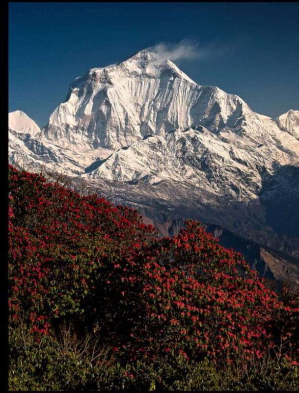 Poon-Hill and Ghandruk Trek- 7 Days - What Travelers Can Expect
