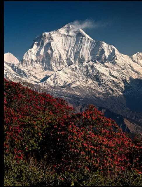 Poon-Hill and Ghandruk Trek- 7 Days - FAQ