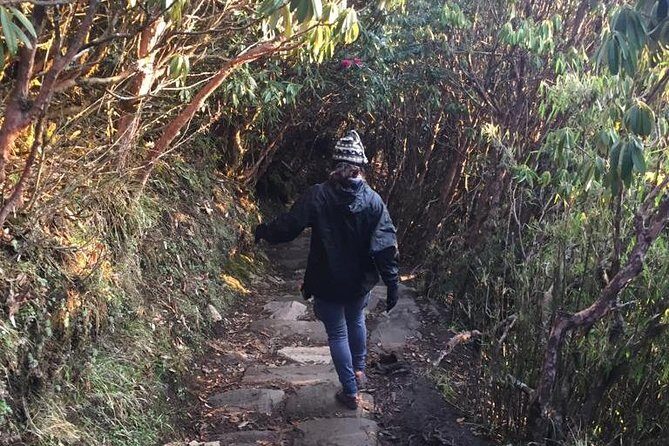 Poon Hill Circuit with Hot Spring Trek from Pokhara - The Itinerary: Breaking Down the Experience