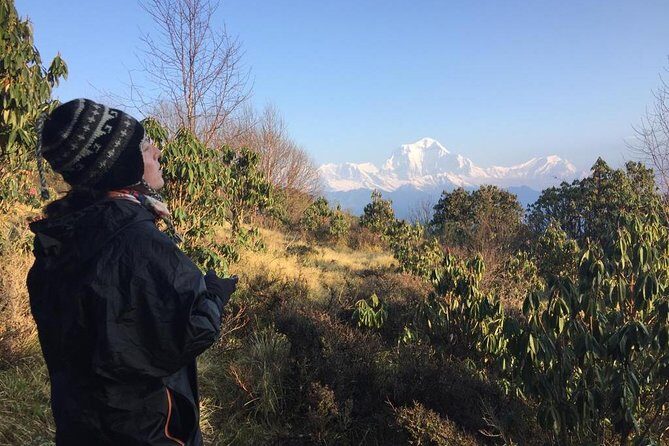 Poon Hill Circuit with Hot Spring Trek from Pokhara - FAQ