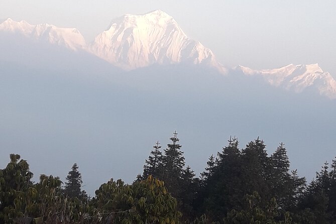Poon hill Trek 3 days - Who Should Consider This Tour?