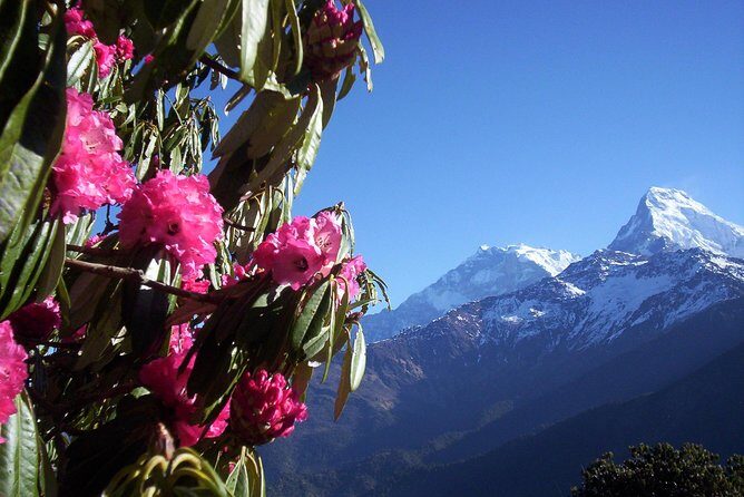 Poon Hill trek - The Itinerary: A Closer Look at Your Himalayan Adventure