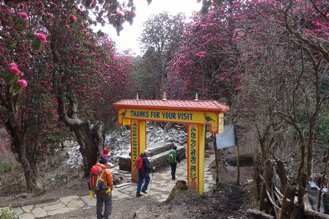 Poonhill Trek - Authentic Experiences and Guide Support