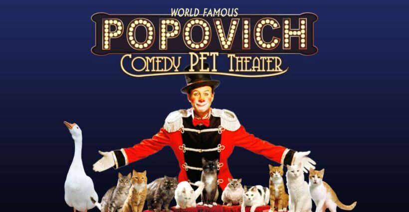 Popovich Comedy Pet Theater in Las Vegas - An In-Depth Look at the Show