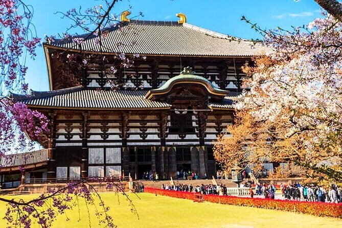 Popular highlights of Nara region day Tour Departure from Osaka - Transportation and Group Size