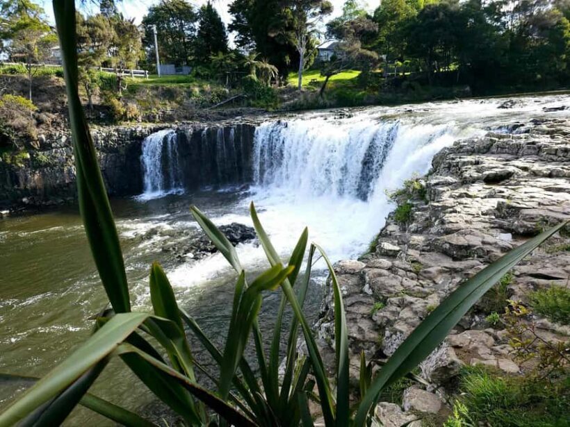 *Popular Tour* - Bay of Islands: Nature Adventure Tour - Introduction
