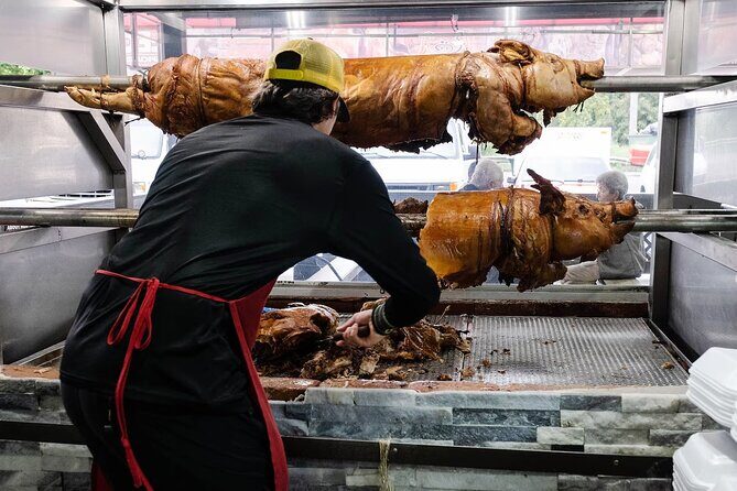 Pork Highway and Rainforest Excursion with transport - A Close-Up Look at the Itinerary