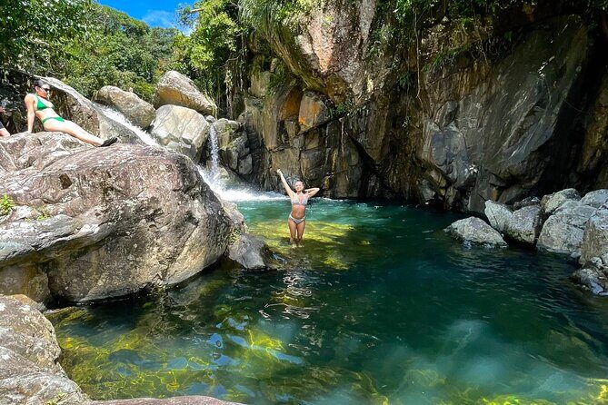 Pork Highway and Rainforest Excursion with transport - Practical Details and Tips