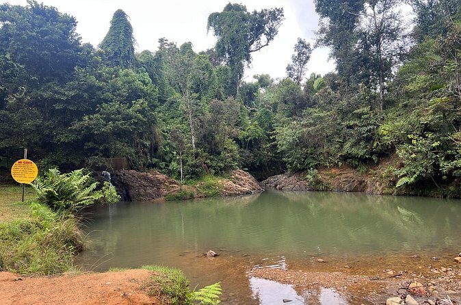 Pork Highway & Cayey Cultural & Gastronomical Experience - Frequently Asked Questions