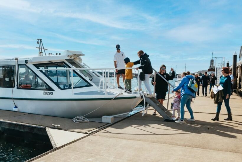 Port Adelaide: Dolphin and Ships Graveyard Cruise - Practical Tips for Visitors