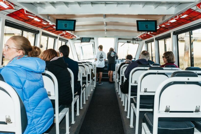 Port Adelaide: Dolphin and Ships Graveyard Cruise - Who Will Love This Experience?
