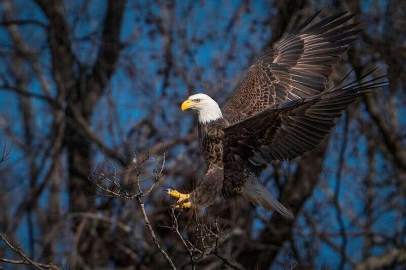 Port Alice: Sea Otter and Wildlife Tour - 6 hour with lunch - Who Would Enjoy This Tour?