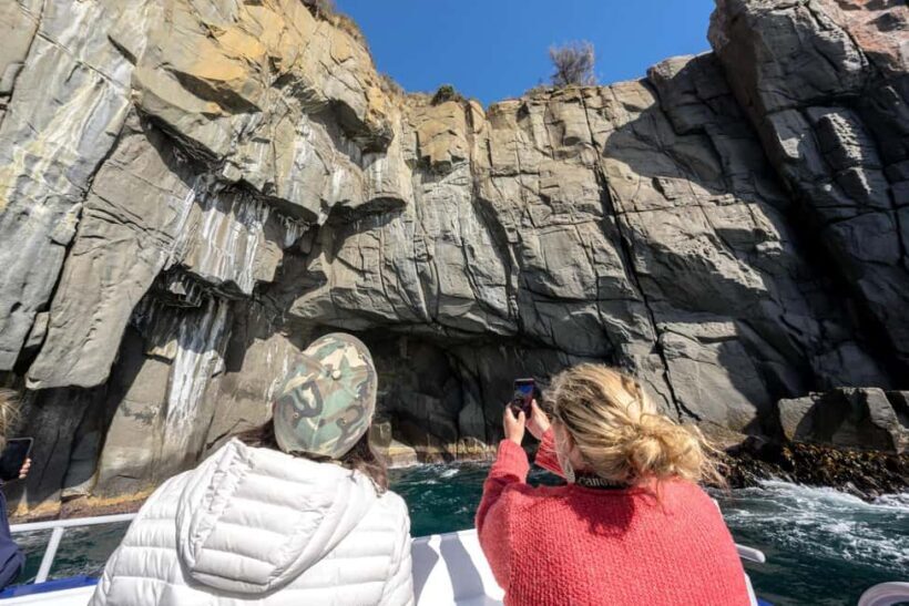 Port Arthur: Cape Raoul Wilderness Cruise - Key Points