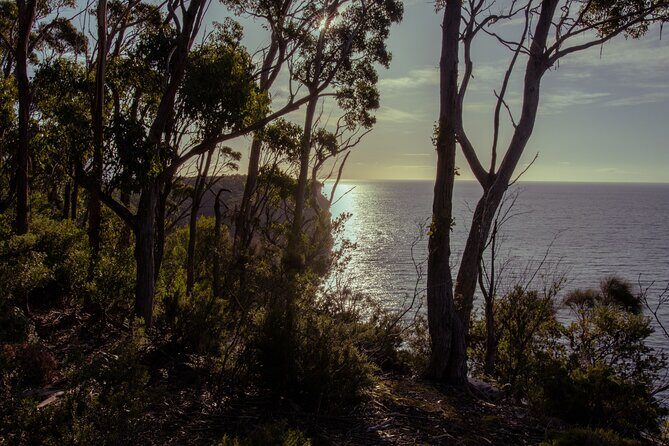 Port Arthur, Richmond and Lavender Active Day Tour - Final Thoughts