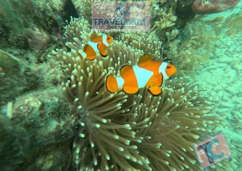 PORT BARTON: Full-day Shared Island Hopping Tour A - Discovering the Experience