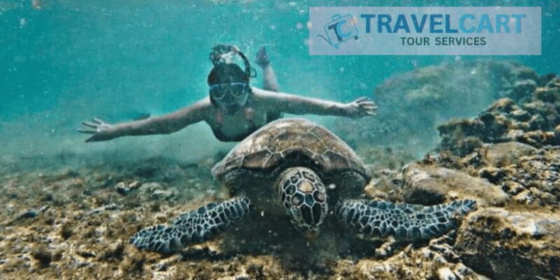 PORT BARTON: Full-day Shared Island Hopping Tour A - Authentic Experiences and Worth the Cost