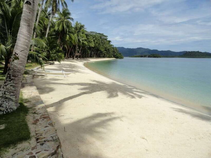 Port Barton: Island Hopping to Turtle Spot & Reef with Lunch - Potential Considerations