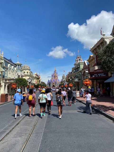 Port Canaveral Cocoa: Transportation to Orlando Airport MCO - The Experience: What to Expect During Your Ride