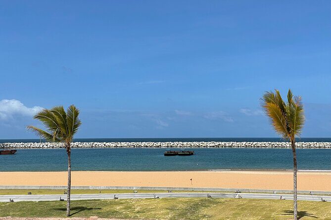 Port City Beach Safari - Dive Into the Details: What to Expect