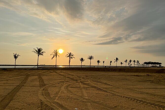 Port City Beach Safari - Who Will Love This Tour?