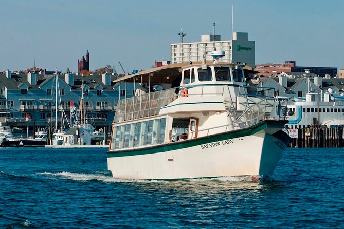 Port City Lights Cruise - Key Points