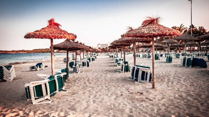 Port d'Alcudia: Meet the Magical Creatures,family game &walk - Who Should Consider This Tour?