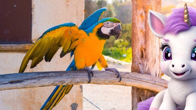 Port d'Alcudia: Meet the Magical Creatures,family game &walk - Frequently Asked Questions (FAQs)