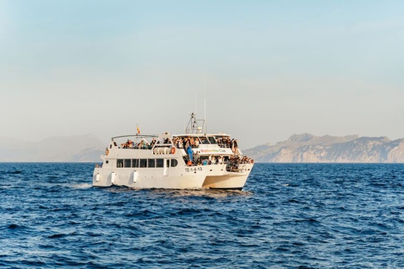 Port d'Alcudia: Sunrise at Sea & Dolphin Watching Boat Tour - The Experience: What Travelers Say