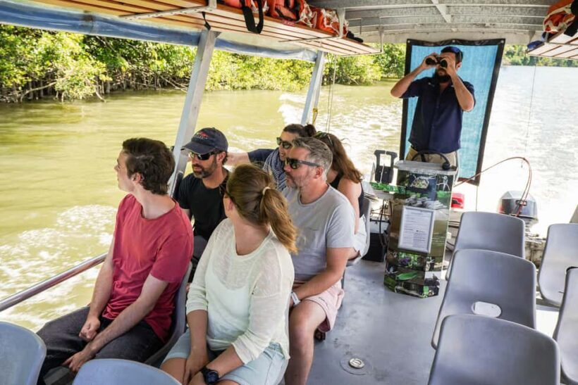 Port Douglas: Afternoon Daintree Tour w/ Wildlife Cruise - Transportation and Group Sizes