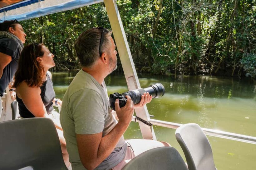 Port Douglas: Afternoon Daintree Tour w/ Wildlife Cruise - Who Should Consider This Tour?