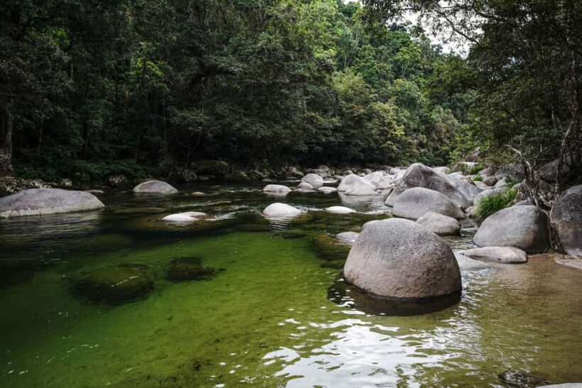 Port Douglas: Best of Daintree Rainforest Day Tour - Key Points