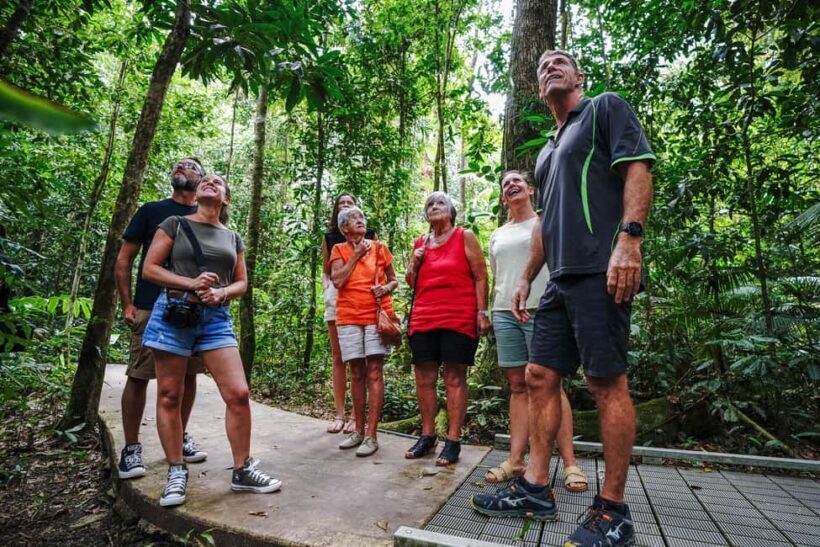 Port Douglas: Best of Daintree Rainforest Day Tour - Daintree River Wildlife Cruise