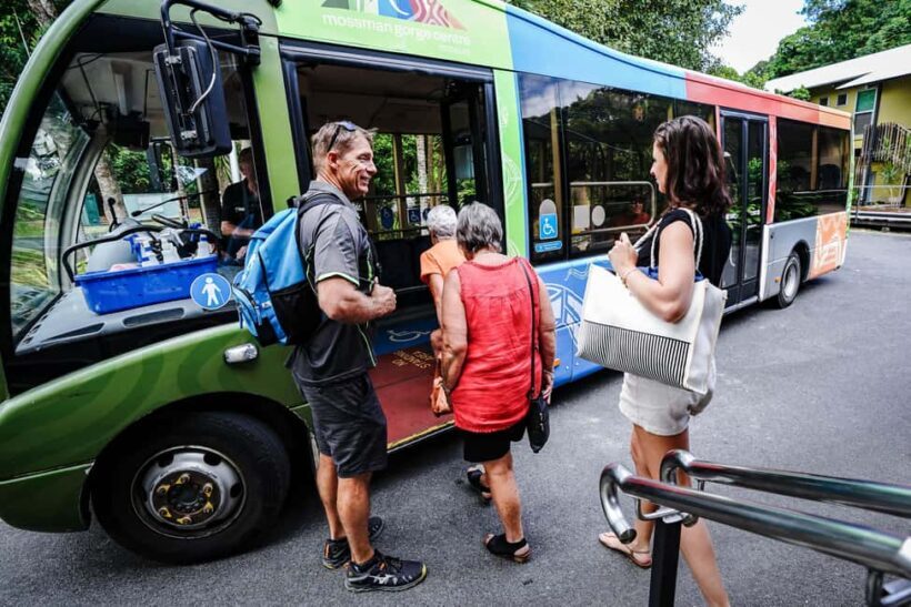 Port Douglas: Best of Daintree Rainforest Day Tour - A Walk Along the Daintree Boardwalk