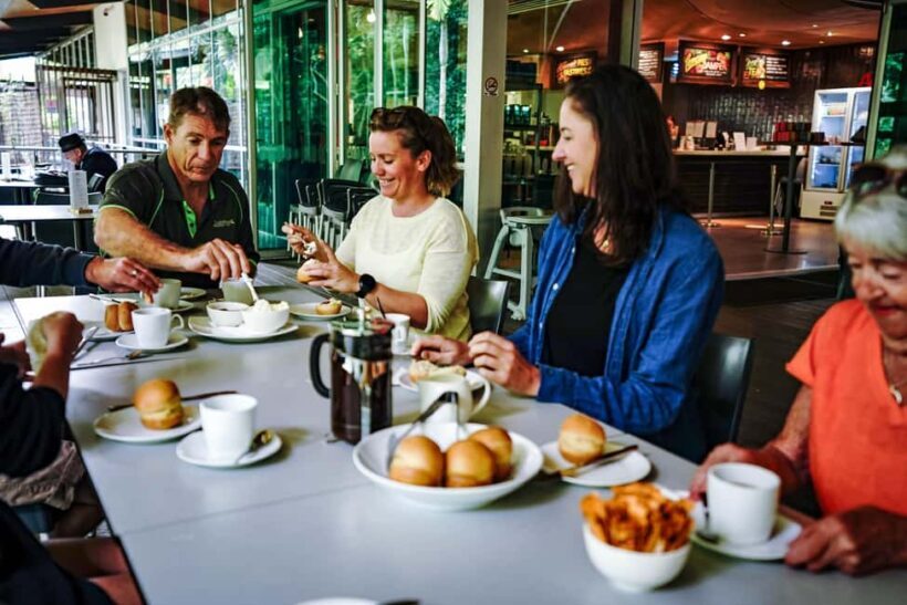 Port Douglas: Best of Daintree Rainforest Day Tour - Final Reflections and Practicalities