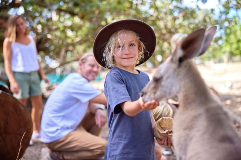 Port Douglas: Breakfast with the Birds - Key Points