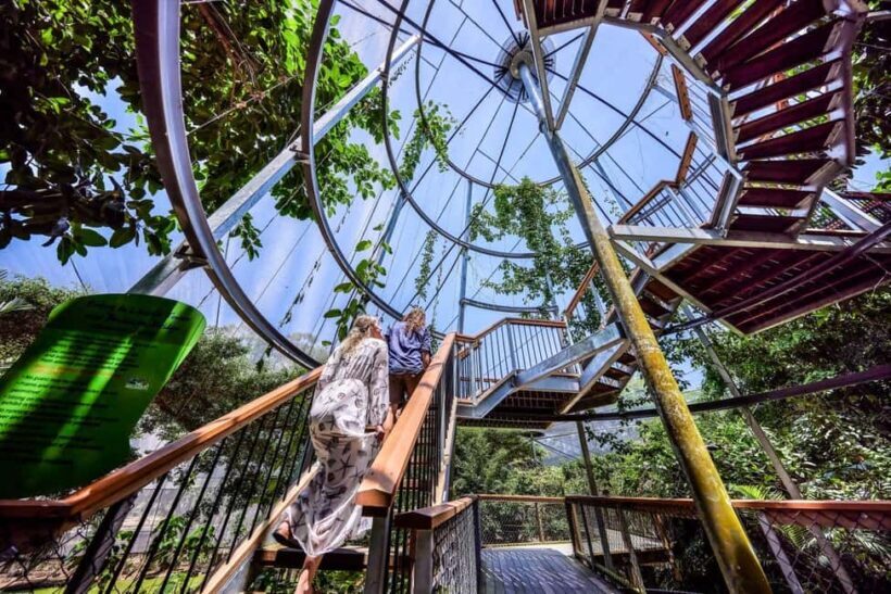 Port Douglas: Breakfast with the Birds - Food and Beverage Quality
